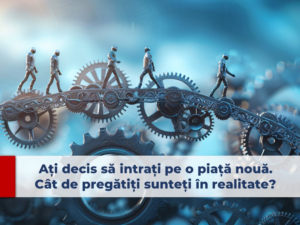 Evaluarea unei strategii de intrare pe piata: Chestionar gratuit