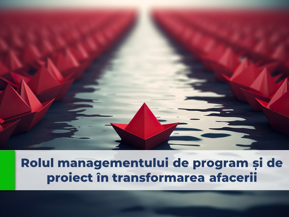Rolul managementului de program și de proiect în transformarea afacerii