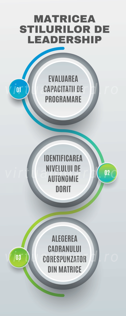 Modele de leadership - Alegerea celei mai bune abordări